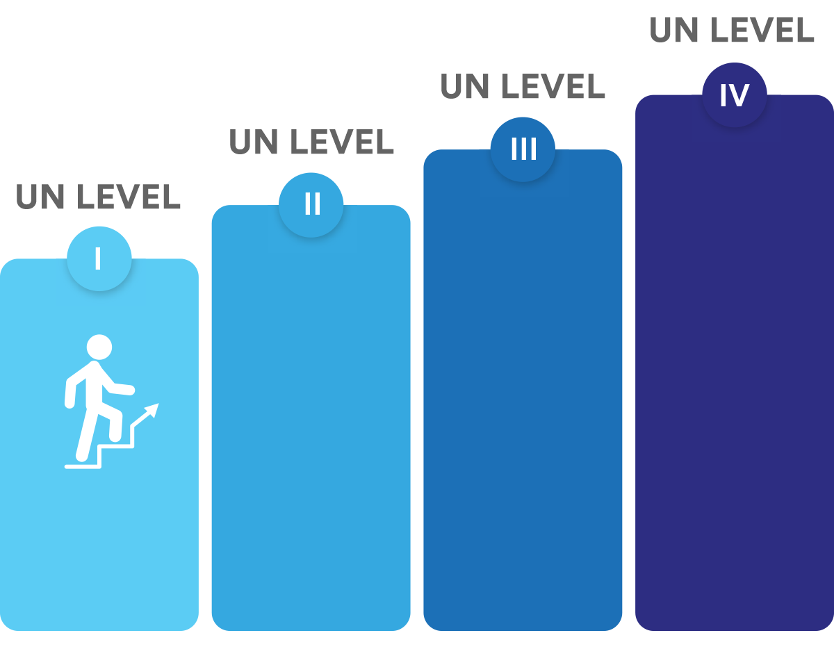 united nations language proficiency exam sample